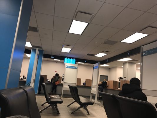 LICENSE EXPRESS - Updated October 2025 - 49 Photos & 390 Reviews - 145 ...