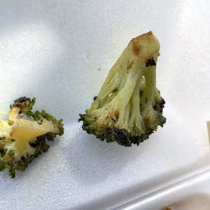 GOJI BISTRO - 107 Photos & 163 Reviews - 4260 Cordata Pkwy, Bellingham ...