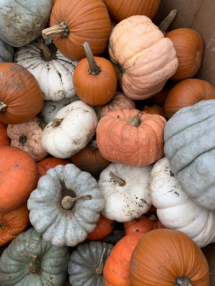 SILVERTON COFFEE STATION - 44 Photos & 26 Reviews - 206 S Water St ...