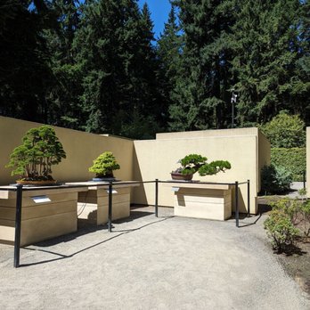 PACIFIC BONSAI MUSEUM - Updated August 2025 - 455 Photos & 71 Reviews ...