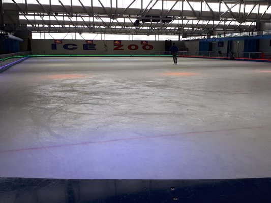 ICE ZOO ICE RINK - Updated January 2026 - 689 Gardeners Rd, Alexandria ...