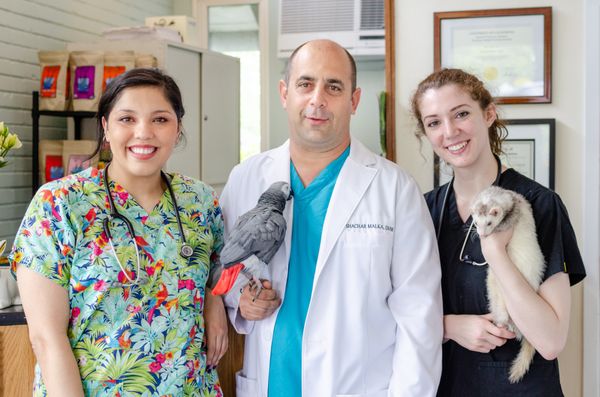 LONG ISLAND BIRD & EXOTICS VETERINARY CLINIC - 67 Photos & 95 Reviews ...