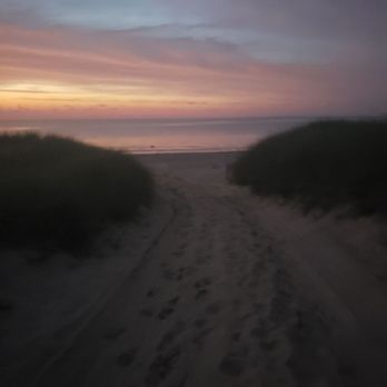 DIONIS BEACH - Updated January 2026 - 16 Photos - Eel Point Rd ...