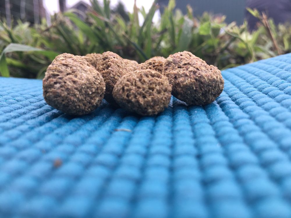 YELP’S GOAT YOGA - Updated October 2025 - 128 Photos - 2182 Sound Ave ...