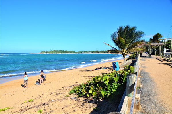 PIÑONES - Updated December 2025 - 164 Photos & 81 Reviews - Campamento ...