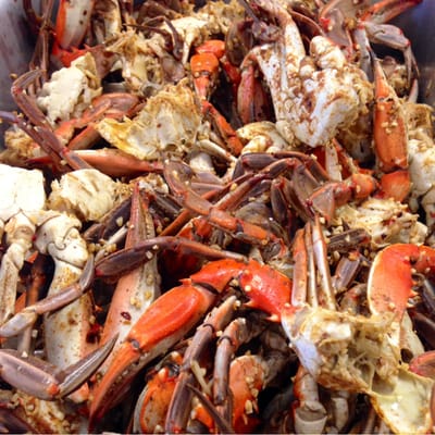 POOLER SEAFOOD - Updated December 2025 - 35 Photos & 53 Reviews - 1137 ...