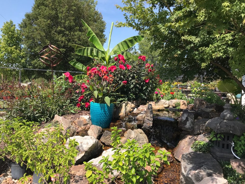 THE POTTED PLANT - Updated August 2024 - 44 Photos & 13 Reviews - 1257 ...