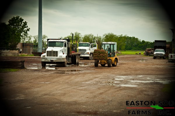 EASTON SOD FARMS - Updated January 2026 - 12300 S Memorial Dr, Bixby ...