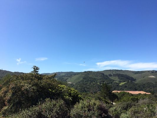 LAGUNA SECA RECREATION AREA - 29 Photos & 26 Reviews - Campgrounds ...