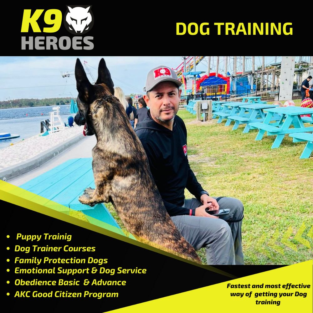 K9 HEROES - Updated September 2024 - Pompano Beach, Florida - Pet ...