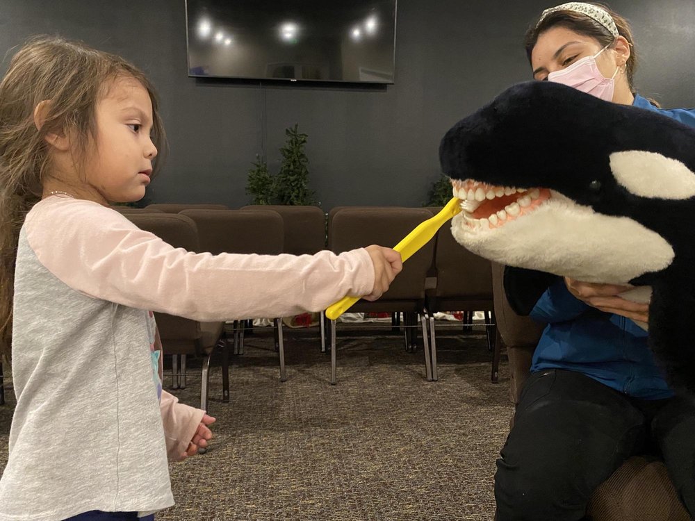 FOOTSTEPS PRESCHOOL - Updated November 2025 - 30 Photos - 8335 Church ...