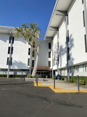 ROSE EAPEN, MD - Updated December 2025 - 12 Reviews - 20911 Earl St ...