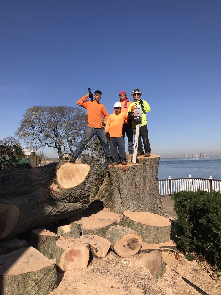 R&L TREE SERVICE - Updated December 2025 - 18 Photos - Staten Island ...