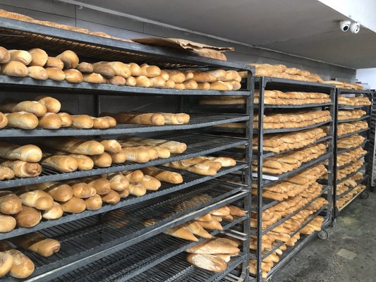 ORZA BAKERY - 42 Photos & 31 Reviews - 257 New Main St, Yonkers, New ...