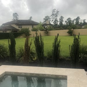 PLANTS FOR ALL SEASONS - 19 Photos & 30 Reviews - 6610 Louetta Rd ...