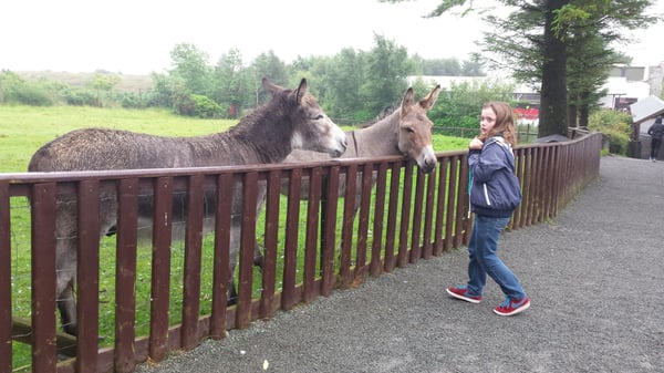 THE DUNLEWEY CENTRE - Dunlewey, Gweedore, Co. Donegal, Republic of ...