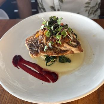 SHORE - Updated June 2025 - 716 Photos & 425 Reviews - 800 Broadway St ...