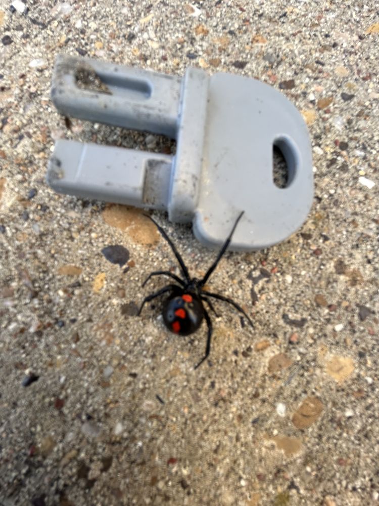 SWAT PEST CONTROL - Updated October 2025 - 21 Photos & 13 Reviews - PO ...