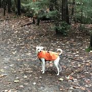 RUSSELL POND CAMPGROUND - 17 Photos & 16 Reviews - Tripoli Rd, North ...