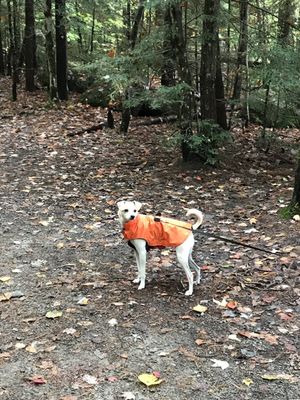 RUSSELL POND CAMPGROUND - Updated August 2025 - 17 Photos & 21 Reviews ...