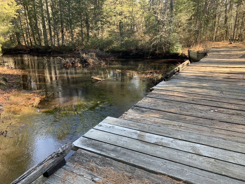 BATONA TRAIL - Updated July 2025 - 15 Photos - Browns Mills, New Jersey ...