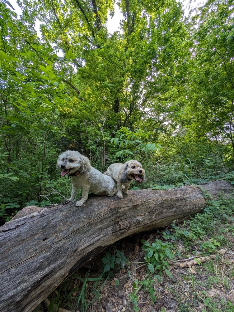 GARISON PARK - Updated April 2025 - 901 Garison Rd, Buda, Texas - Parks ...