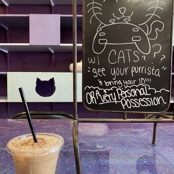 PHX CAT CAFE - Updated December 2024 - 489 Photos & 144 Reviews - 147 E Garfield St, Phoenix ...