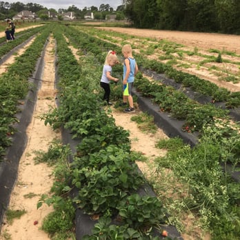 ATKINSON FARM - Updated May 2025 - 159 Photos & 68 Reviews - 3217 ...