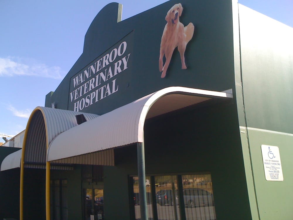 WANNEROO VETERINARY HOSPITAL - Updated July 2025 - 923 Wanneroo Rd ...