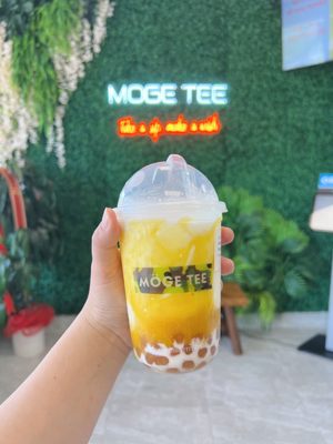 MOGE TEE - 107 Photos & 52 Reviews - 5664 Mission Center Rd, San Diego ...