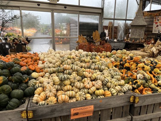 LINVILLA ORCHARDS - Updated November 2024 - 1116 Photos & 489 Reviews ...