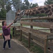 ALOHA SAFARI PARK - Updated November 2025 - 414 Photos & 182 Reviews ...