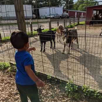 MCCRAY’S FARM AND COUNTRY CREAMERY - Updated December 2025 - 46 Photos ...