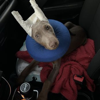 MICHAEL BUTCHKO, DVM - Updated December 2025 - 214 Photos & 541 Reviews ...