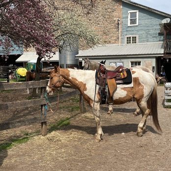 SHEEDER MILL FARM - Updated August 2025 - 96 Photos & 55 Reviews - 12 ...