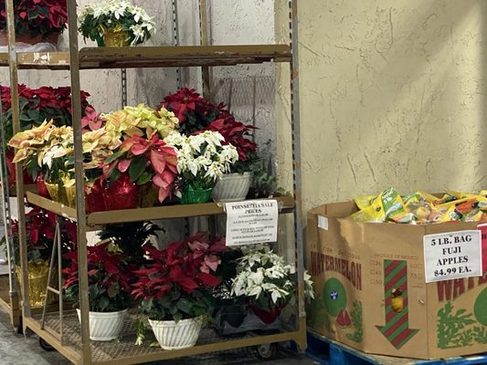 PERRINE’S PRODUCE - Updated January 2026 - 14 Photos & 31 Reviews - 120 ...