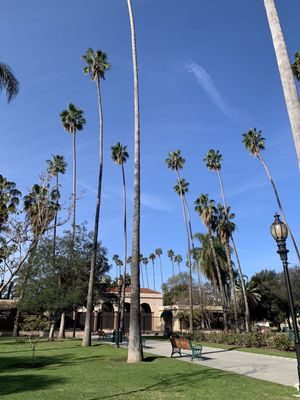 PEARSON PARK & POOL - Updated June 2025 - 199 Photos & 42 Reviews - 400 ...