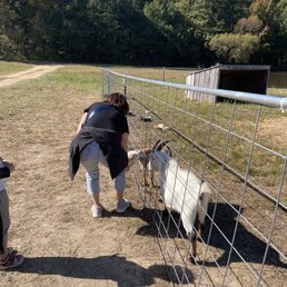 HOLDER HILL FARM - Updated December 2025 - 48 Photos & 15 Reviews ...