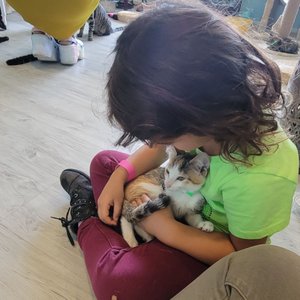 TOE BEANS AND DREAMS ADOPTION CAFE - 126 Photos & 27 Reviews - 98-199 ...