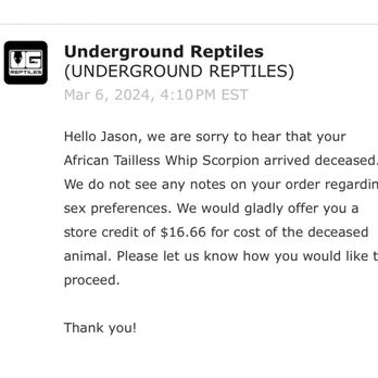 UNDERGROUND REPTILES - Updated April 2025 - 295 Photos & 247 Reviews ...