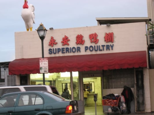SUPERIOR POULTRY - Updated January 2026 - 19 Photos & 23 Reviews - 750 ...