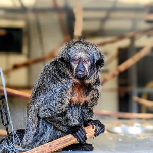 CORK ON ICE - Updated December 2025 - Mahon Link Road, Cork, Republic ...