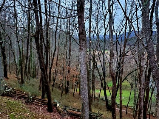 THE DILLARD HOUSE RESTAURANT - 398 Photos & 457 Reviews - American ...