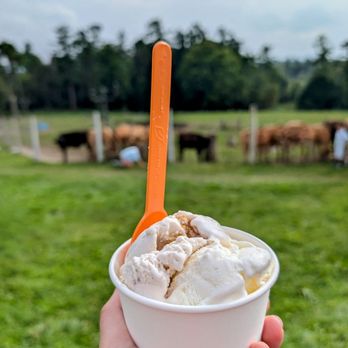HIGH LAWN FARM - Updated August 2025 - 176 Photos & 63 Reviews - 535 ...