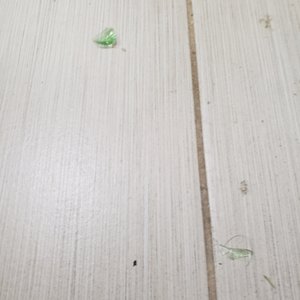 GROUP FOX PROPERTY MANAGEMENT - 75 Photos & 221 Reviews - 411 E ...