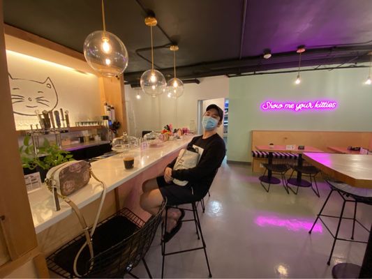 NEKO: A CAT CAFE - Updated May 2024 - 915 Photos & 299 Reviews - 519 E ...