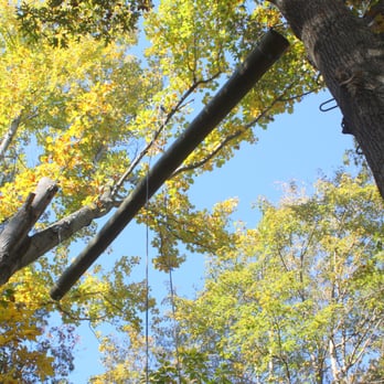 CALLEVA FARM - Updated December 2025 - 10 Photos - 19120 Martinsburg Rd ...