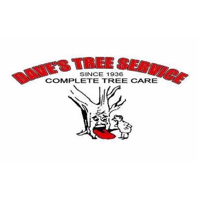DAVE’S TREE SERVICE - Updated October 2025 - 21 Reviews - 72 Kingston ...