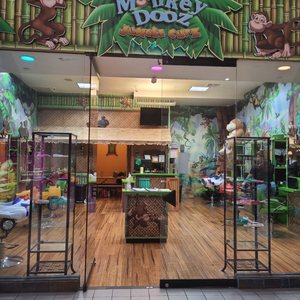 MONKEY DOOZ - 242 Photos & 353 Reviews - 1321 Galleria At Tyler ...