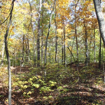 CALLEVA FARM - Updated December 2025 - 10 Photos - 19120 Martinsburg Rd ...